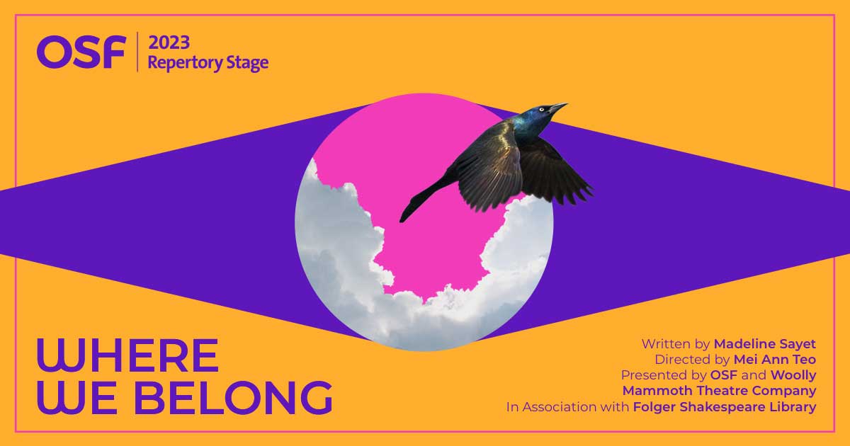 Where We Belong (2023) House Program - OSF Articles & Publications