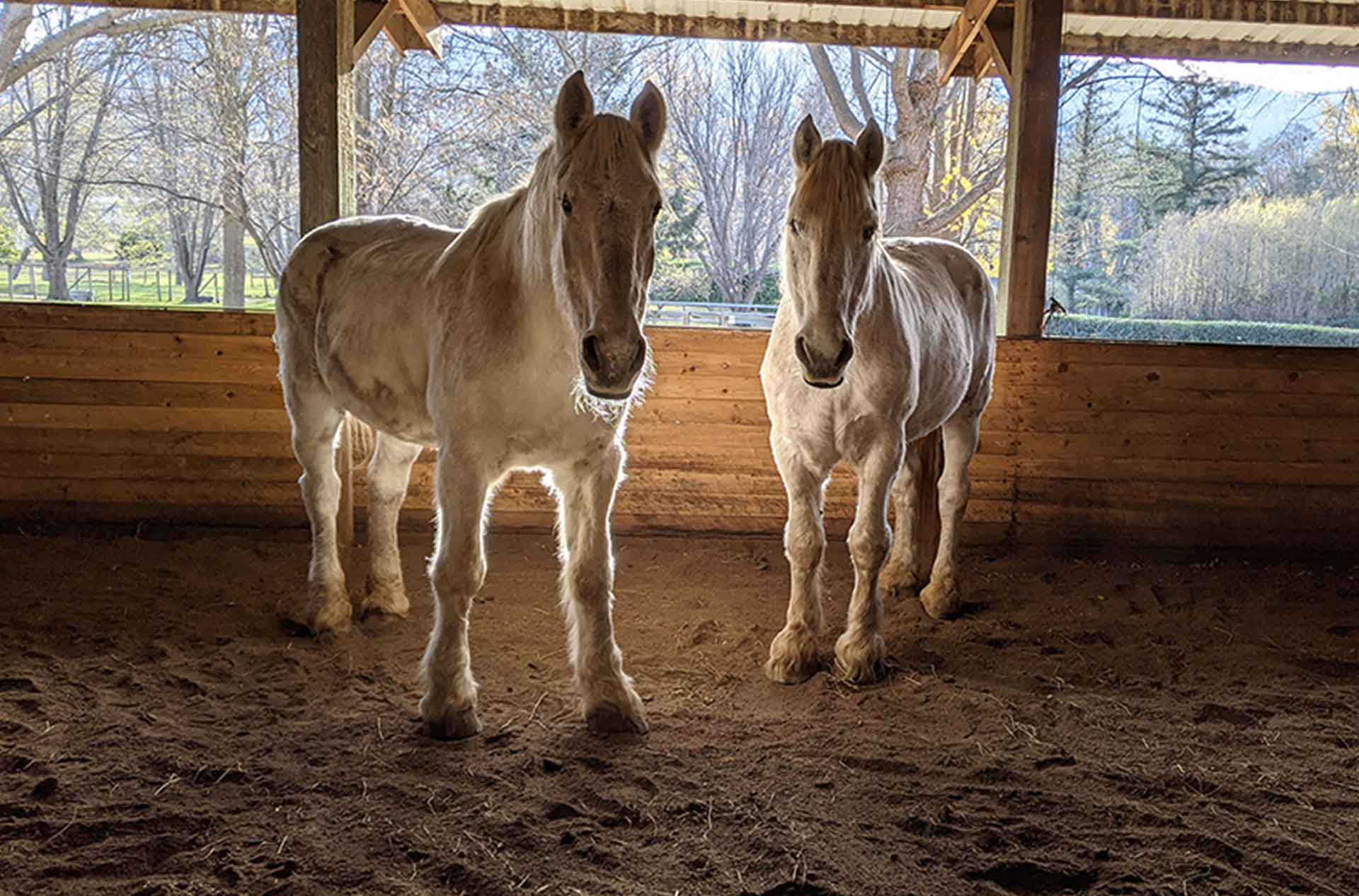 Activities - Oregon Shakespeare Festival